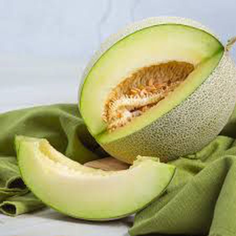 Melon