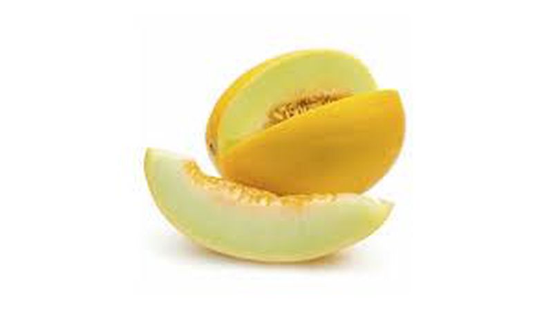 MELON