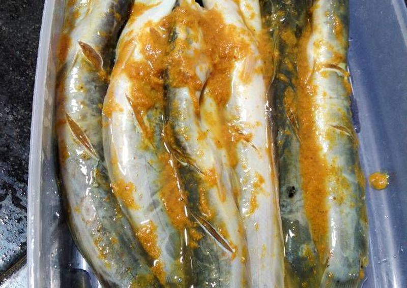 Ikan lele marinasi