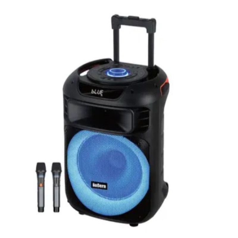 SPEAKER PORTABLE AUBERN VS-15
