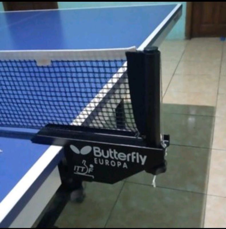 Net Tenis Meja