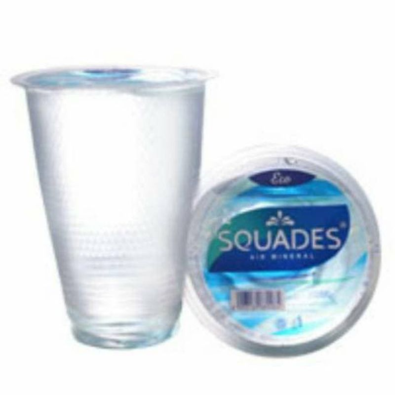 Air Mineral Squades 240 ml