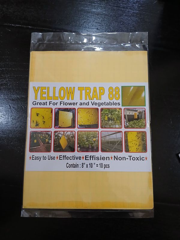 YELLOW TRAP 88 ISI 10 PER PCS