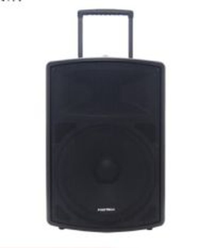 POLYTRON SPEAKER PORTABLE 12 INCH PASPRO12F3