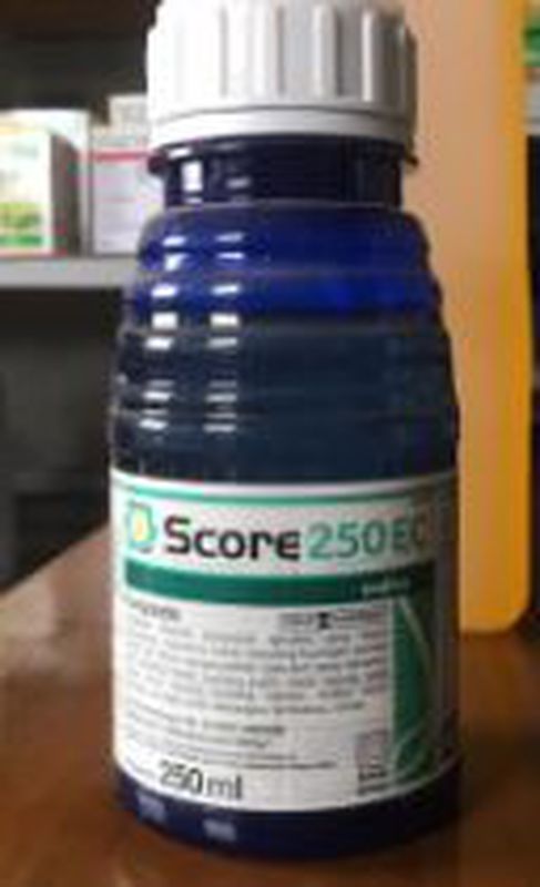 obat FUNGISIDA