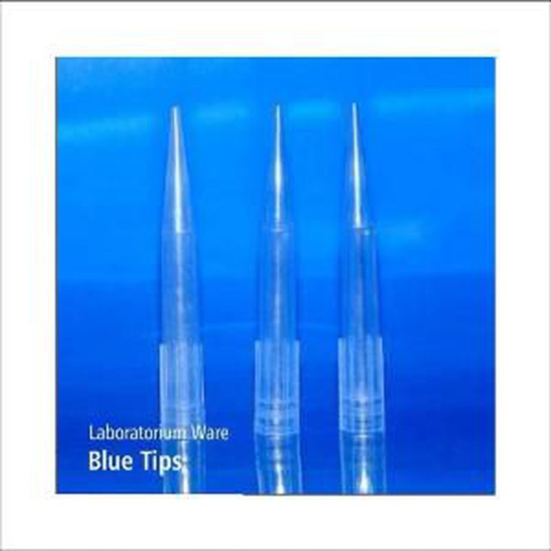 Blue Tips Micropipet (1000's)