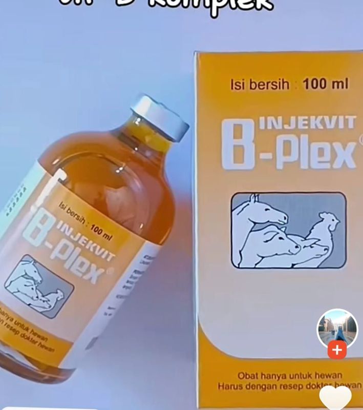 Vitamin B Complek injeksi 100 ml (Obat Hewan)