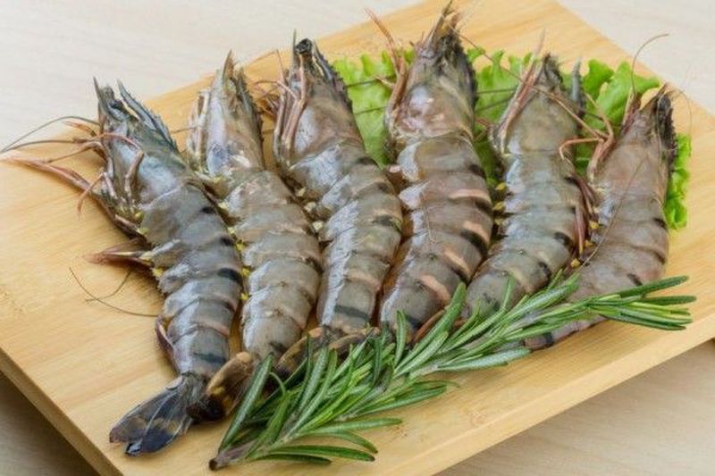 Udang