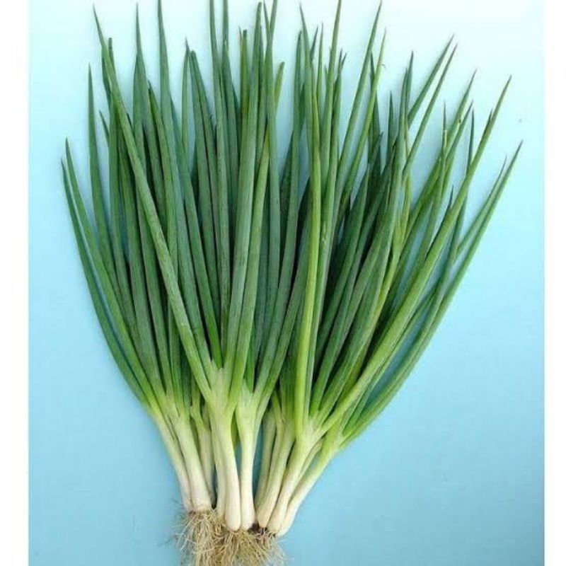 Daun Prei