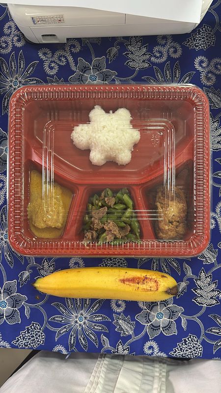 Menu Lengkap Balita (PMT) Nasi, Gulai Patin, Tahu Bacem, Tumis Buncis ...