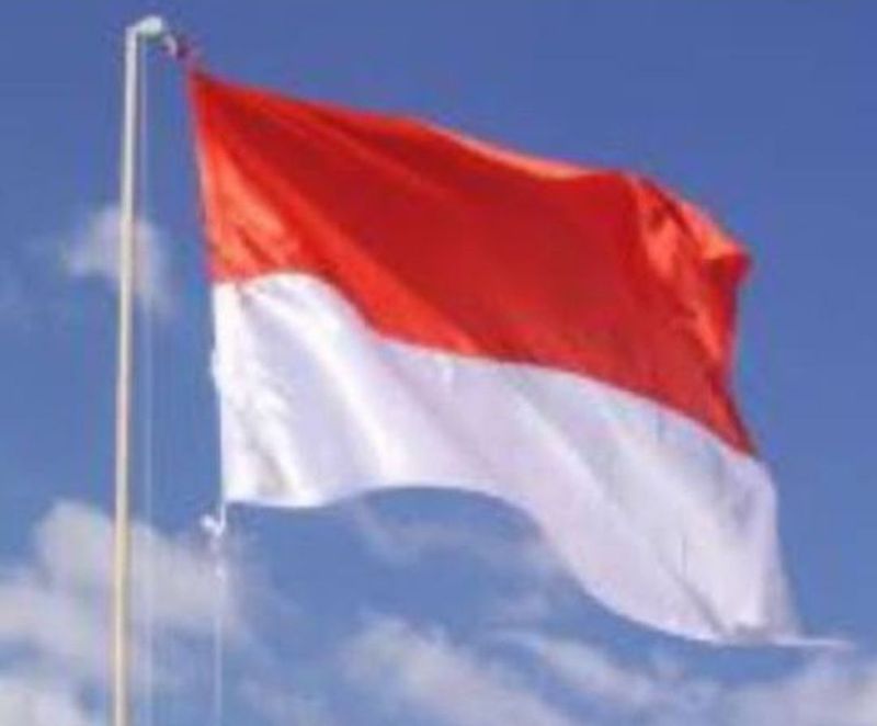 bendera merah putih 50cm x 80cm