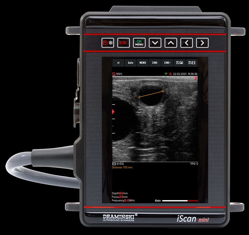 USG Draminski IScan mini 1 probe rectal linear tanpa oled Goggle