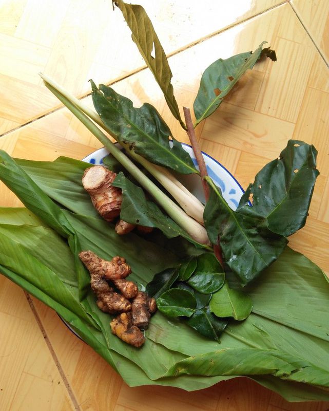 Daun Langkok