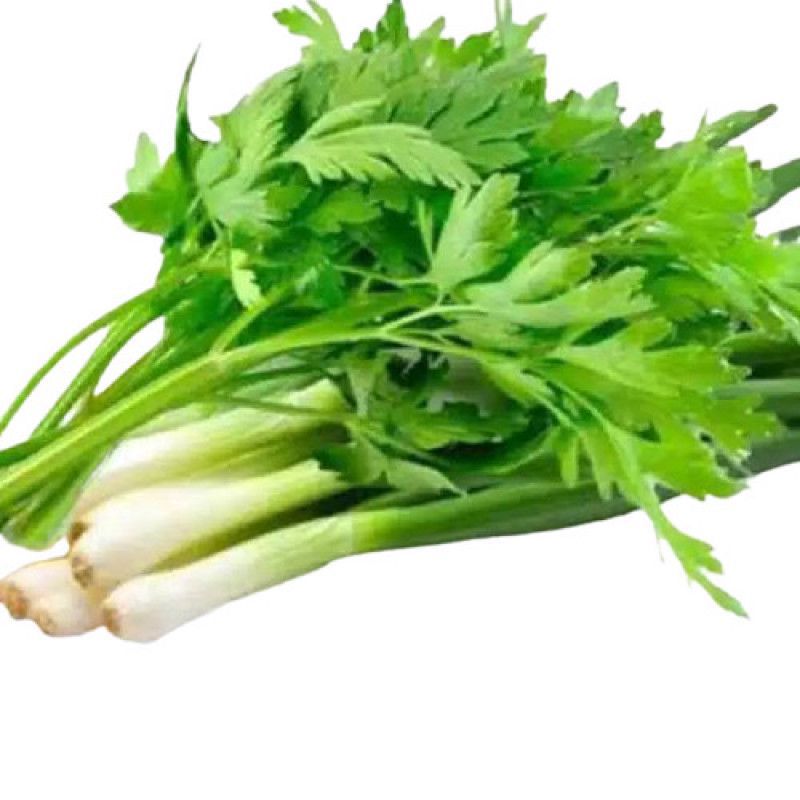 Daun sup