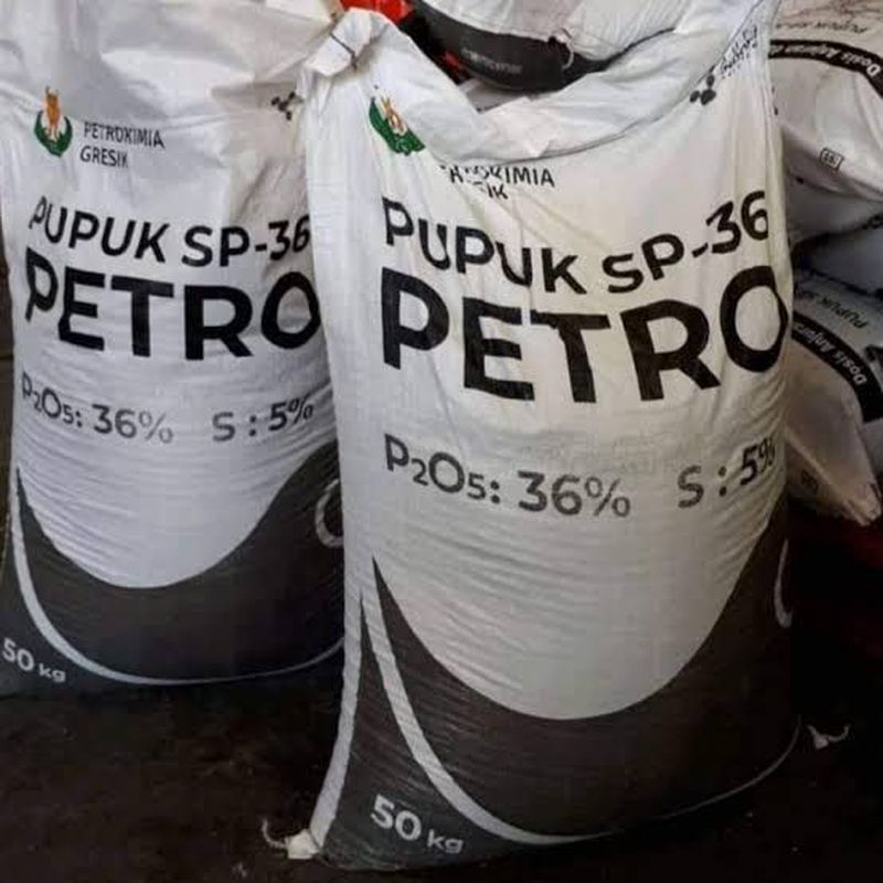 Pupuk SP-36
