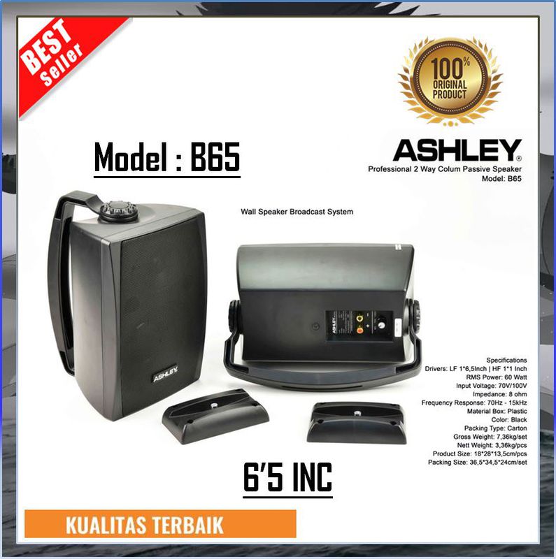 Speaker Pasif ASHLEY B65