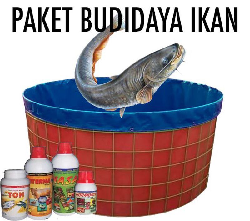 Paket Budidaya Ikan
