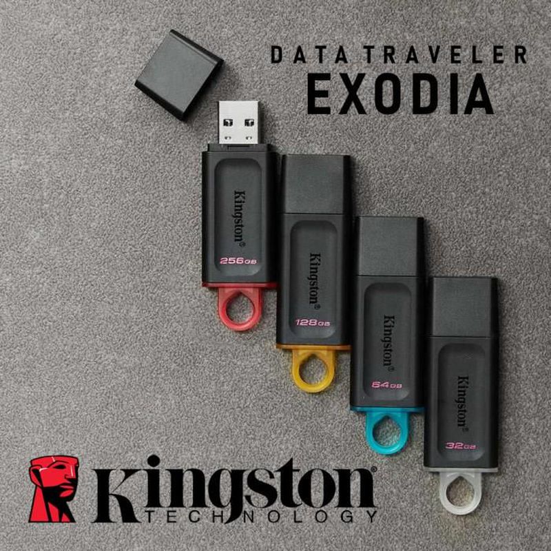 Flash Disk Kingstone DataTraveler Exodia 3.0