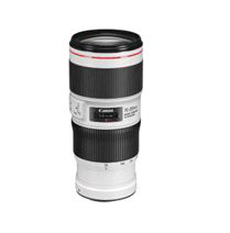 Canon EF 70-200mm F4 L USM + Canon Control Ring Mount Adapter EF-EOS R