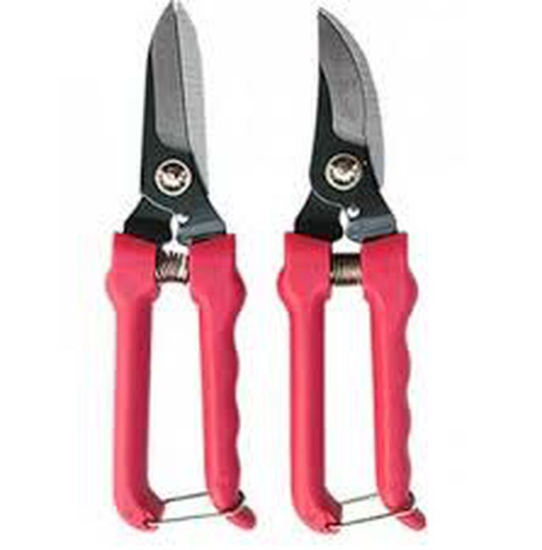 Gunting dahan/ranting