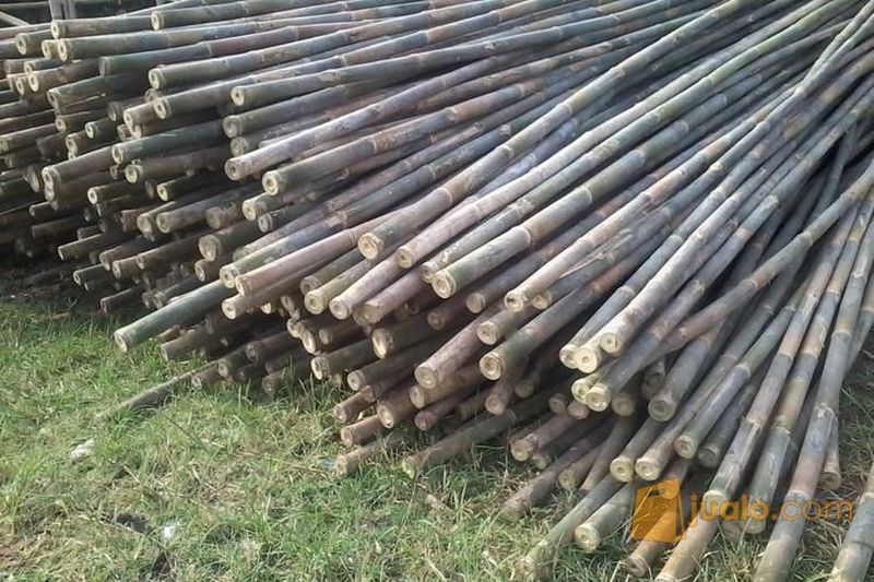 bambu umbul umbul