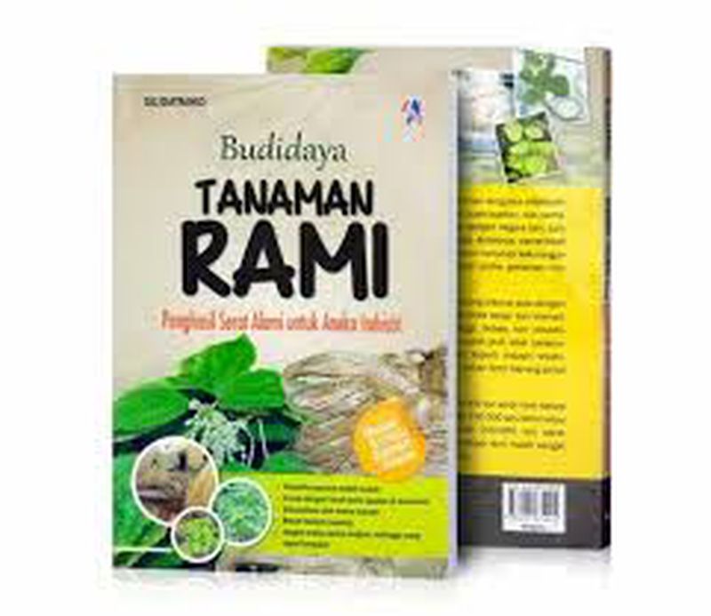 Budidaya Tanaman Rami Penghasil Serat Alami untuk aneka Industri