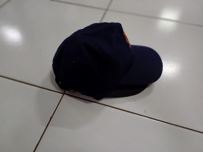 TOPI LOGO