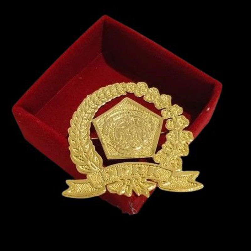 Pin / Bros DPRD