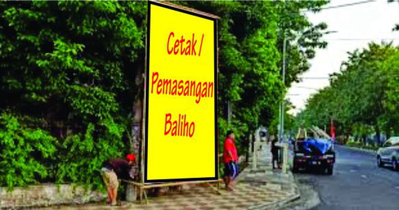 BALIHO UK. 4 x 6 M