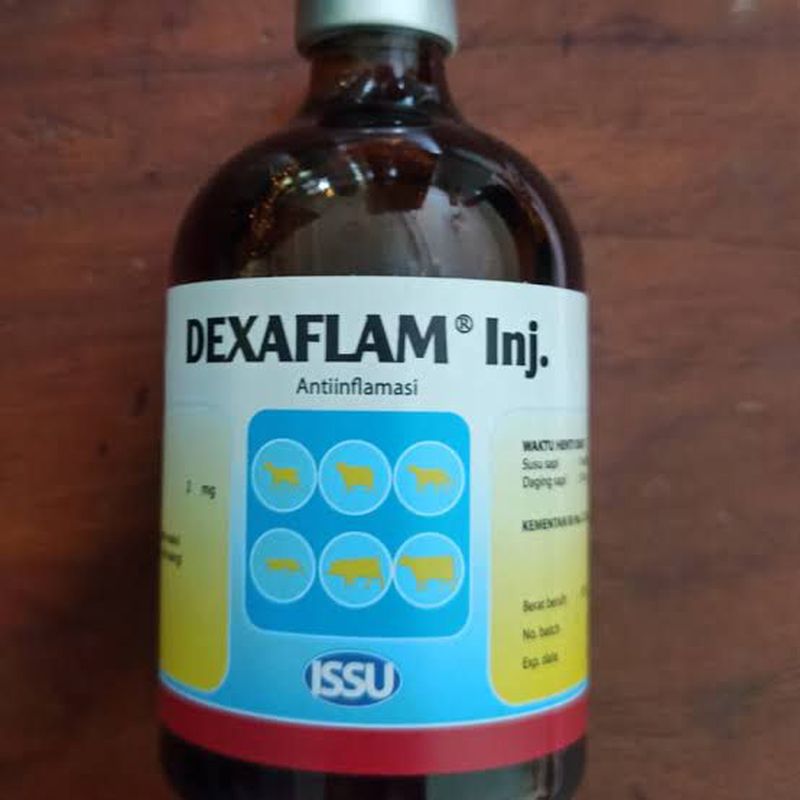 DEXAFLAM 100ML
