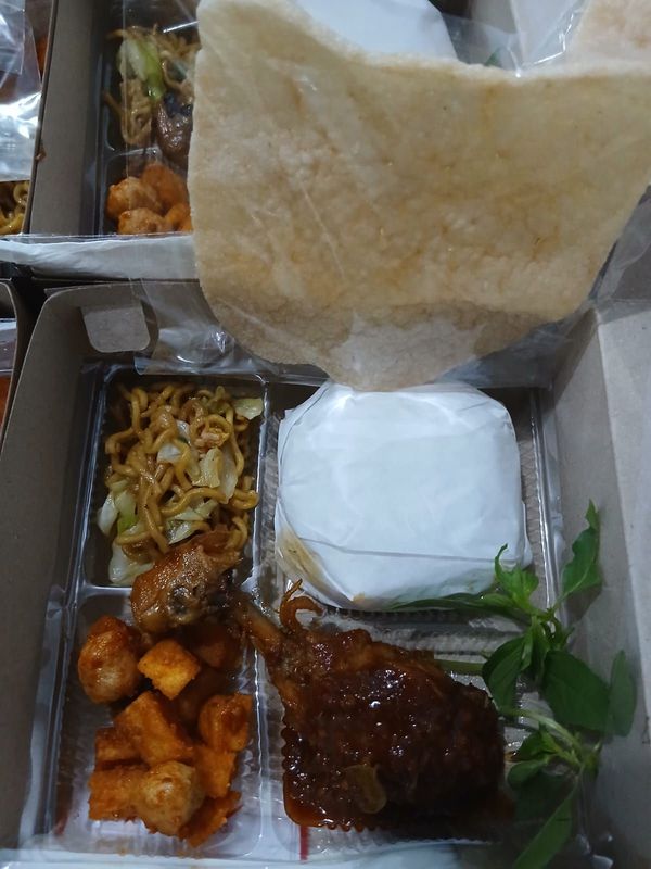 Nasi kotak B