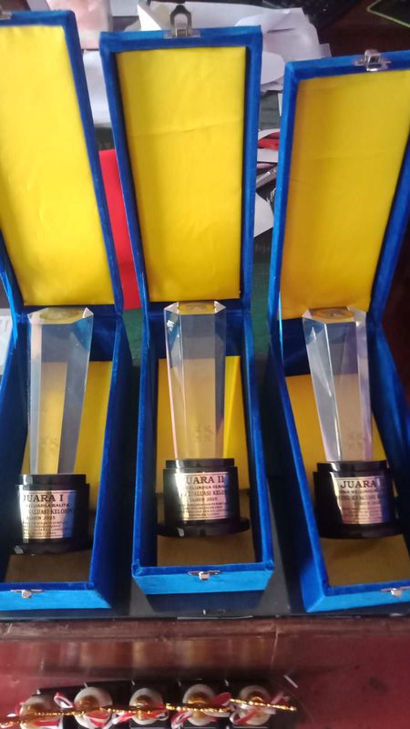 piala fiber segi 6