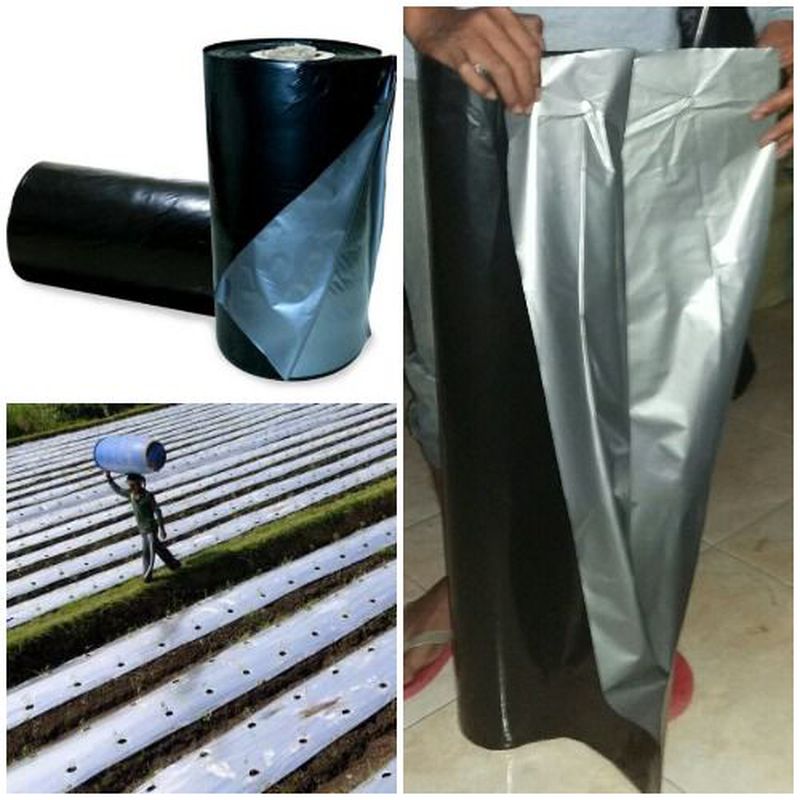 Mulsa Plastik