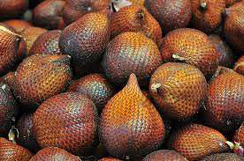 Salak Gula Pasir