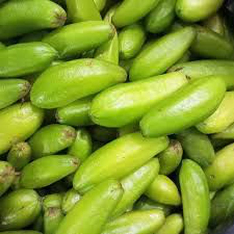 Belimbing Wuluh / Belimbing Tunjuk / Belimbing Sayur