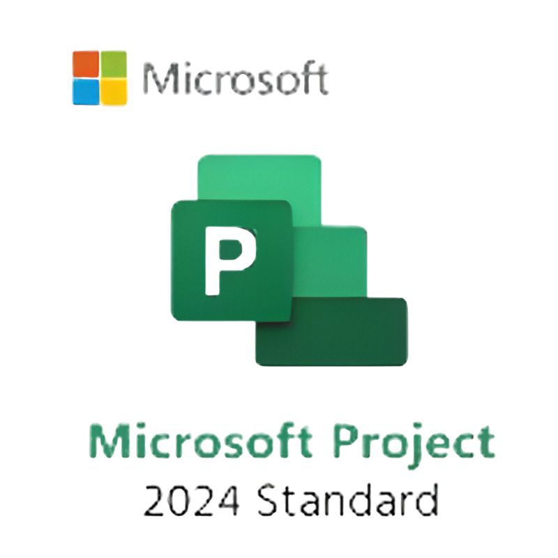 Microsoft Project Standard 2024