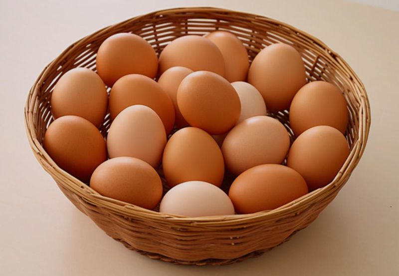 Telur Dalam Negeri