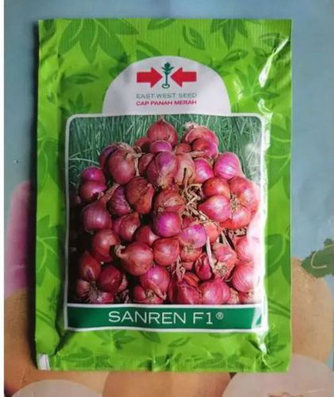 Benih bawang Merah