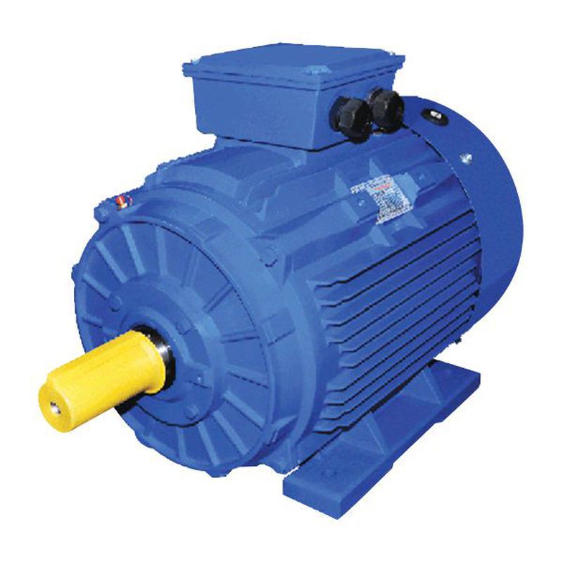 EMM Elektrim Three Phase Induction Motor EM 250 M B3 Foot Mounted ...