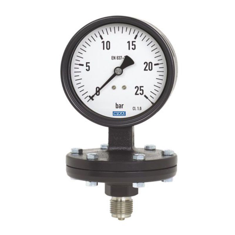 Wika Diaphragm Seal System 990.18 232.50.100 - 0-20 Bar - Silver - Silver